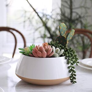 LA JOLIE MUSE Large Succulent Planter Plant Pots, Ceramic Indoor Outdoor Garden Pot with Drainage for Plant Flower, 8 Inch, Sandy Beige & White