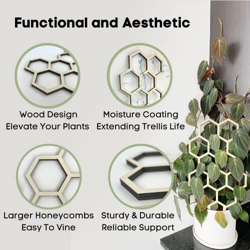 TAVALEAF 2 Pack Indoor Plant Trellis, Honeycomb Shaped Indoor Trellis for Climbing Plants, Small Plant Trellis for Plants, Small Trellis for House Plant, Trellis Small Climbing Plant Support (gt1)