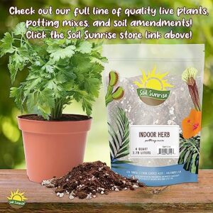 African Violet Potting Soil Mix (8 Quarts), Custom Hand Blended Soil Additive for Indoor Plants