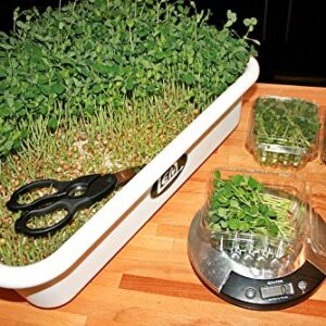 This is a Mix!!! 2000+ Seeds Microgreens Mix 40 Varieties - About 1 oz. - Superfood Seeds Heirloom Non-GMO Delicious Easy to Grow! from USA Fresh and Tested Seeds!