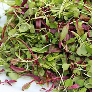 This is a Mix!!! 2000+ Seeds Microgreens Mix 40 Varieties - About 1 oz. - Superfood Seeds Heirloom Non-GMO Delicious Easy to Grow! from USA Fresh and Tested Seeds!