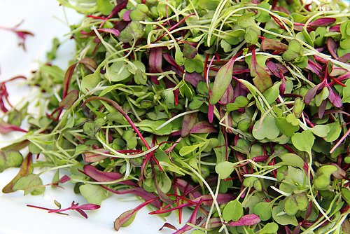 This is a Mix!!! 2000+ Seeds Microgreens Mix 40 Varieties - About 1 oz. - Superfood Seeds Heirloom Non-GMO Delicious Easy to Grow! from USA Fresh and Tested Seeds!