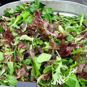 This is a Mix!!! 2000+ Seeds Microgreens Mix 40 Varieties - About 1 oz. - Superfood Seeds Heirloom Non-GMO Delicious Easy to Grow! from USA Fresh and Tested Seeds!