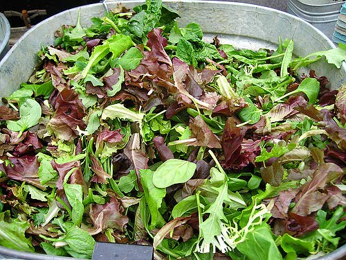 This is a Mix!!! 2000+ Seeds Microgreens Mix 40 Varieties - About 1 oz. - Superfood Seeds Heirloom Non-GMO Delicious Easy to Grow! from USA Fresh and Tested Seeds!