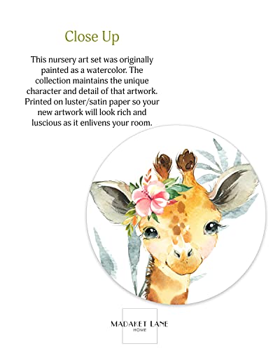 Safari Nursery Girl - Safari Animal Pictures Wall Art - Baby Room Animal Prints - Jungle Babies Wall Decor - Little Girls Room Wall Decor - 8x10 - UNFRAMED (Safari Girls 6)