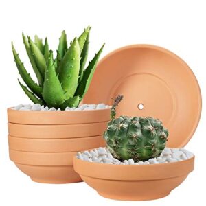 terra cotta pots, laergin 6.43 inch shallow terra cotta clay pots with drain hole terra cotta plant pot with drainage hole, ceramic plant pots for indoor/outdoor plants(6 pack)