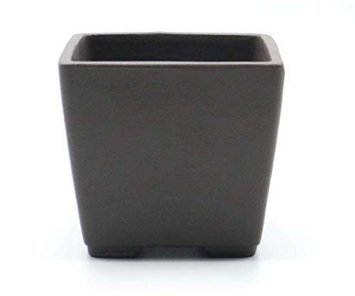 Seto Yaki Bonsai Tree Pot Ceramic Square Shaped (3.5", No-Glazed)