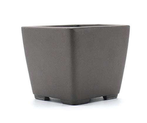 Seto Yaki Bonsai Tree Pot Ceramic Square Shaped (3.5", No-Glazed)