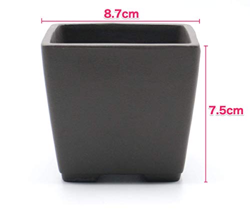 Seto Yaki Bonsai Tree Pot Ceramic Square Shaped (3.5", No-Glazed)