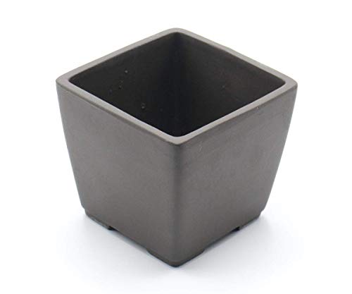 Seto Yaki Bonsai Tree Pot Ceramic Square Shaped (3.5", No-Glazed)