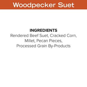 Blue Seal Woodpecker Bird Suet Cake | No Mess Wild Bird Suet | 11oz (12 Pack)