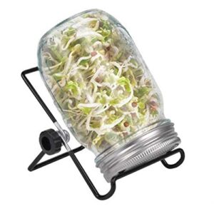 sprouting jar kit, wide mouth quart mason jars with screen sprout lids & stand, seeds germination growing kit, seed sprouter set for growing organic broccoli alfalfa mung microgreens bean (1pack)