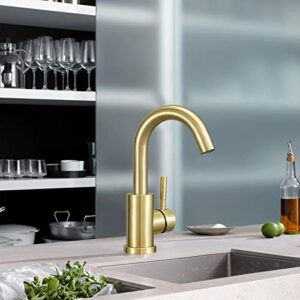 Hoimpro Modern Single Handle Wet Bar Sink Faucet with 6 Inch Cover Plate, Single Hole Bathroom Lavatory Faucet,Rv Small Bathroom Sink Faucet,Bar Vanity Faucet,Brushed Gold