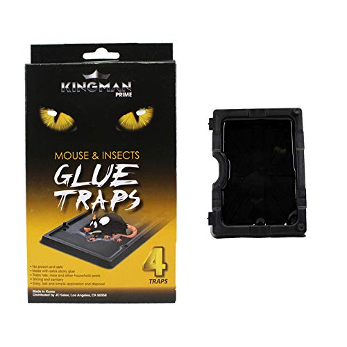 KINGMAN PRIME Small Mouse Trap Glue Trap/Board (4 Traps) Rodent Trap Safe Easy Non-Toxic