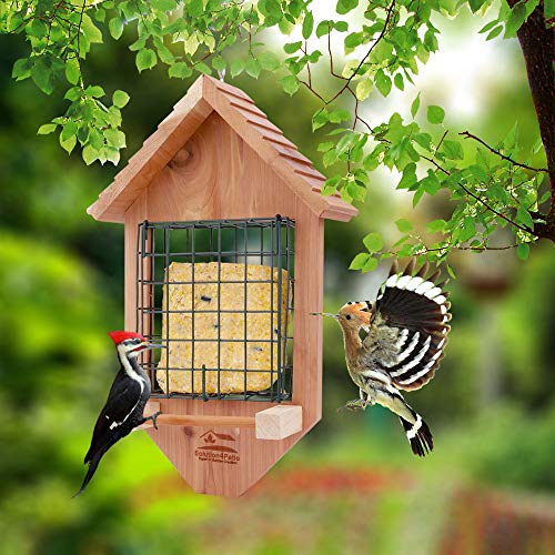 Solution4Patio USA Cedar Tail Prop Suet Bird Feeder with One Perch, Clasp Suet Cage for Squirrel Proof, Suet Cake Holder for Pileated Woodpecker, Downy Woodpecker, Nuthatch, Chickadees, etc.