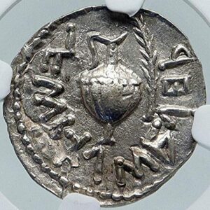 1 IT BAR KOKHBA Authentic Ancient Jewish War vs Romans Denomination_in_description AU NGC