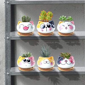 YINUOWEI Succulent Pots with Drainage 3.6 Inch Mini Cat Pots for Plants Tiny Animal Planter Small Ceramic Air Plant Flower Pots Cactus Faux Planters Containers with Bamboo Tray