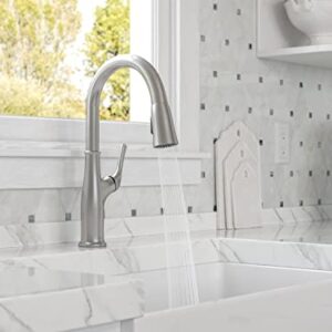 Pfister Highbury Kitchen Faucet with Pull Down Sprayer, Single Handle, High Arc, Stainless Steel Finish, LG529HGS