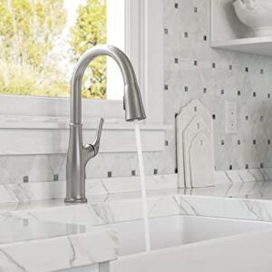 Pfister Highbury Kitchen Faucet with Pull Down Sprayer, Single Handle, High Arc, Stainless Steel Finish, LG529HGS