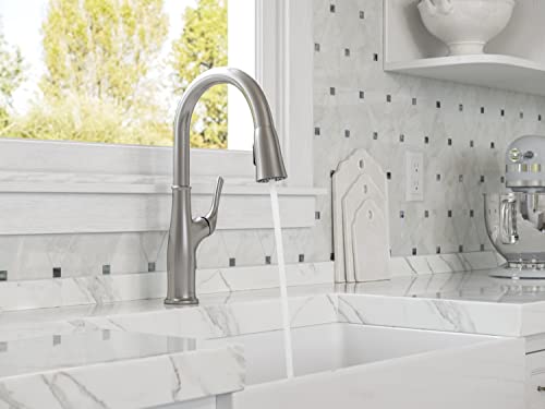 Pfister Highbury Kitchen Faucet with Pull Down Sprayer, Single Handle, High Arc, Stainless Steel Finish, LG529HGS