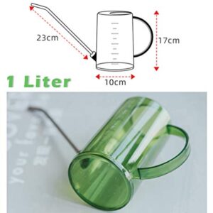 Watering Can Indoor, Small Watering Cans for House Plants, Succulents and Flowers, Long Spout, 1 Liter, with Bonus Plant Mister Spray Bottle