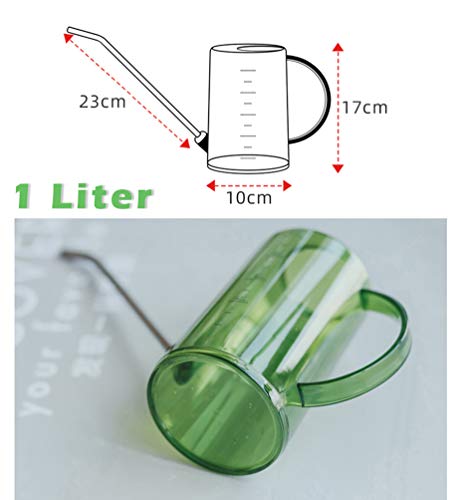 Watering Can Indoor, Small Watering Cans for House Plants, Succulents and Flowers, Long Spout, 1 Liter, with Bonus Plant Mister Spray Bottle