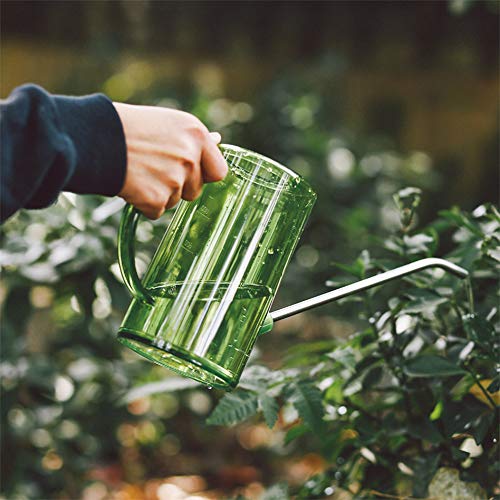 Watering Can Indoor, Small Watering Cans for House Plants, Succulents and Flowers, Long Spout, 1 Liter, with Bonus Plant Mister Spray Bottle