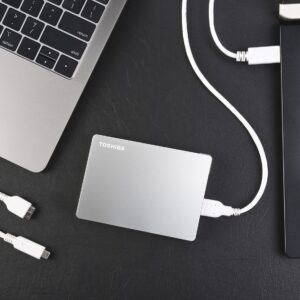 Toshiba Canvio Flex 1TB Portable External Hard Drive USB-C USB 3.0, Silver for PC, Mac, & Tablet - HDTX110XSCAA