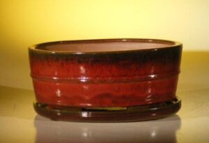 parisian red ceramic bonsai pot - oval professional series with attached humidity/drip tray 10.75 x 8.5 x 4.125