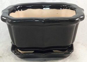 bonsai tree pot black 6 inch bonsai pots with trays- unique from jmbamboo