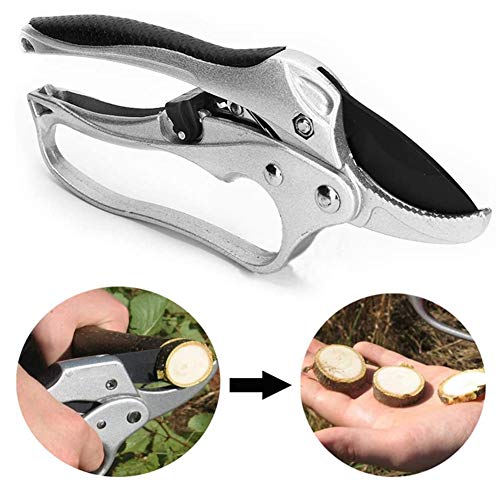 GYDXJGJ Orchard Pruning Pruner Cut Shrub Garden Tree Tools Flower Scissor Tool Garden Tools Ratchet Plant Trim Horticulture Hand Shear