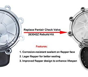 ATIE Upgraded Pool Check Valve Rebuild Kit Compatible with Pentair 263042Z Check Valve Rebuild Kit for 2" Check Valve 263042 ONLY (Not Compatible with Pentair FullFLOXF Check Valves 263060 & 263077)