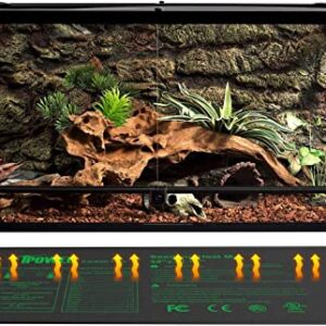 iPower 48" x 20.75" Seeding Heat Mat with Thermostat Temperature Adjustable Knob Durable Warm Hydroponic Plant Germination Starting Pad, Black