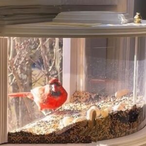 Amish Custom Made Indoor in-Window Bird Feeder, 180° Clear View In-House Feeder, Watch Wild Birds from The Comfort of Your Home - Easy-Fill (29"-36" Window Width)