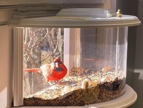 Amish Custom Made Indoor in-Window Bird Feeder, 180° Clear View In-House Feeder, Watch Wild Birds from The Comfort of Your Home - Easy-Fill (29"-36" Window Width)