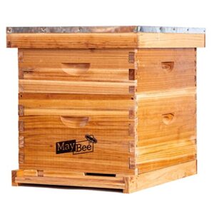 Bee Hive 10 Frame Bee Hives and Supplies Starter Kit, Bee Hive for Beginner, Honey Bee Hives Includes 1 Deep Bee Boxes, 1 Bee Hive Super with Beehive Frames and Foundation