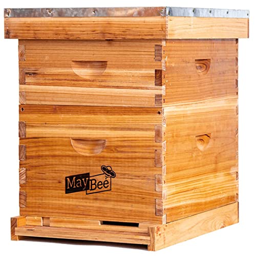 Bee Hive 10 Frame Bee Hives and Supplies Starter Kit, Bee Hive for Beginner, Honey Bee Hives Includes 1 Deep Bee Boxes, 1 Bee Hive Super with Beehive Frames and Foundation