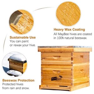 Bee Hive 10 Frame Bee Hives and Supplies Starter Kit, Bee Hive for Beginner, Honey Bee Hives Includes 1 Deep Bee Boxes, 1 Bee Hive Super with Beehive Frames and Foundation