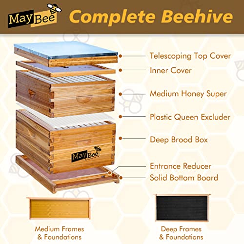 Bee Hive 10 Frame Bee Hives and Supplies Starter Kit, Bee Hive for Beginner, Honey Bee Hives Includes 1 Deep Bee Boxes, 1 Bee Hive Super with Beehive Frames and Foundation