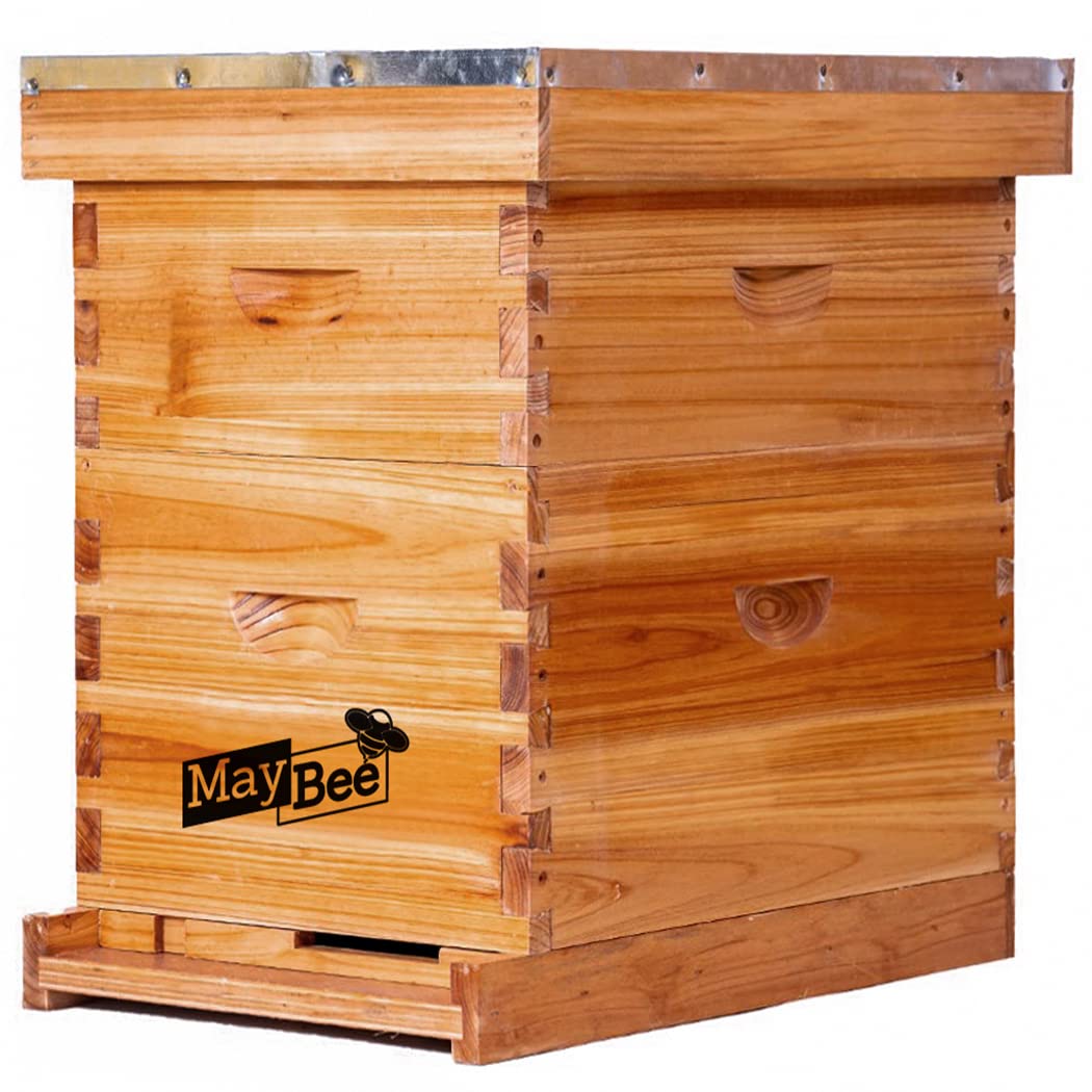 Beehive 8 Frame Bee Hives and Supplies Starter Kit, Bee Hive for Beginner, Honey Bee Hives Includes 1 Deep Bee Boxes, 1 Bee Hive Super with Beehive Frames and Foundation