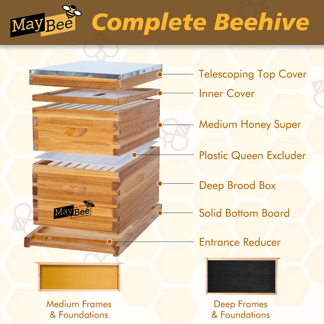 Beehive 8 Frame Bee Hives and Supplies Starter Kit, Bee Hive for Beginner, Honey Bee Hives Includes 1 Deep Bee Boxes, 1 Bee Hive Super with Beehive Frames and Foundation