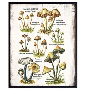 psychedelic hallucinogenic medicinal magic mushrooms botanical prints art - psilocybin spores trippy wall decor - pshycadellic room decor - vintage retro rustic sign plaque poster for kitchen, dorm