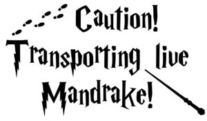 caution transporting live mandrake vinyl decal sticker