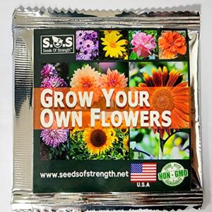 5G Mixed Zinnia Flower Seed Easy to Grow Plant