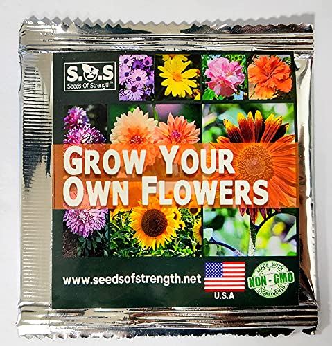 5G Mixed Zinnia Flower Seed Easy to Grow Plant