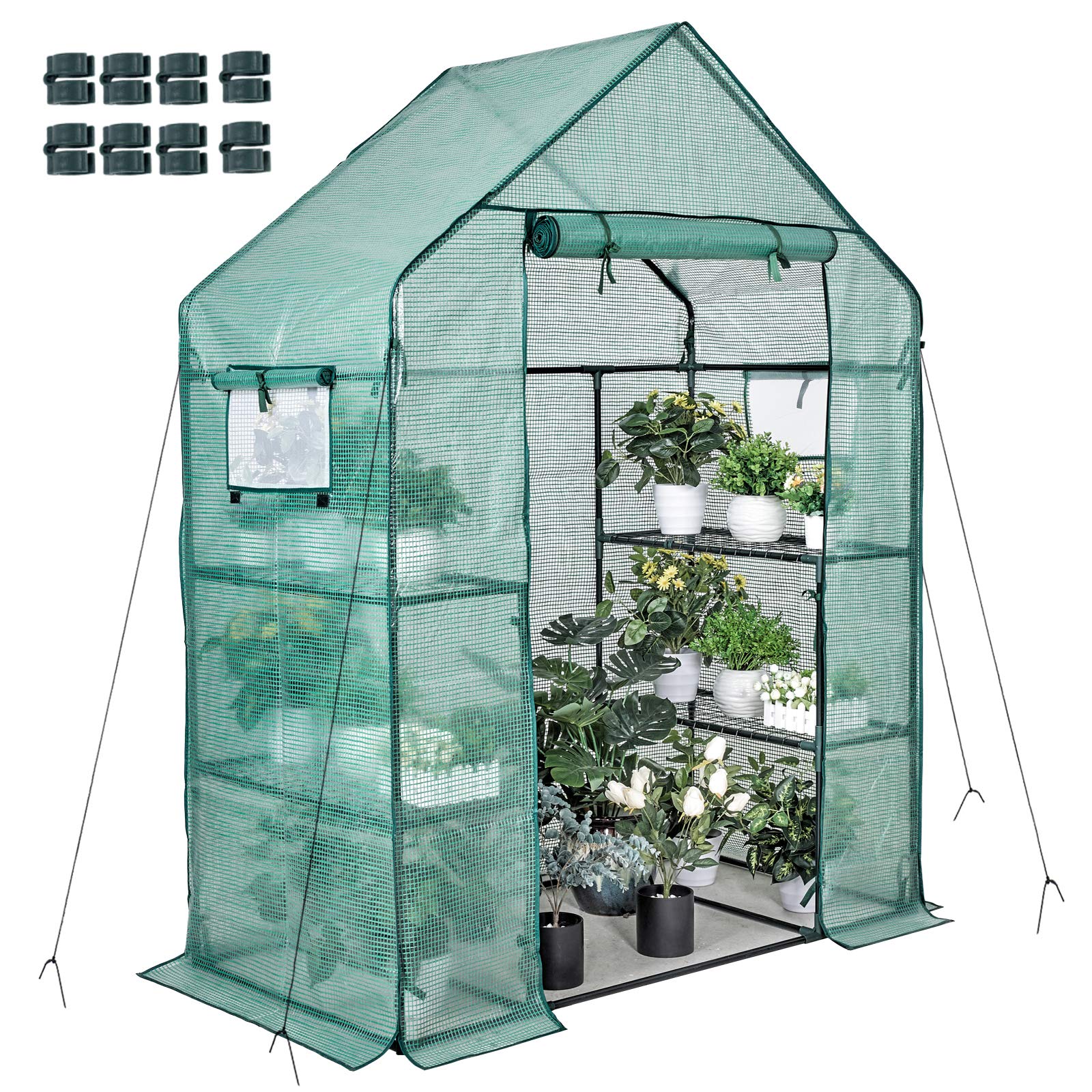 Walk-in Greenhouse 77x56x30 in 2 Windows 3 Tiers 4 Shelves 8 Net Rack Buckles Hot House Roll Up Zipper Door Plant Gardening Portable Green House for Indoor Outdoor Use Extra Anchors & Wind Ropes