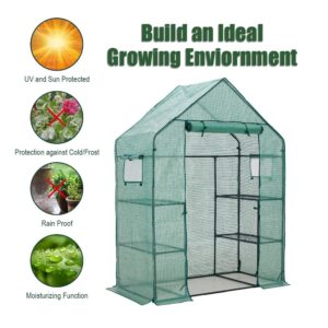 Walk-in Greenhouse 77x56x30 in 2 Windows 3 Tiers 4 Shelves 8 Net Rack Buckles Hot House Roll Up Zipper Door Plant Gardening Portable Green House for Indoor Outdoor Use Extra Anchors & Wind Ropes