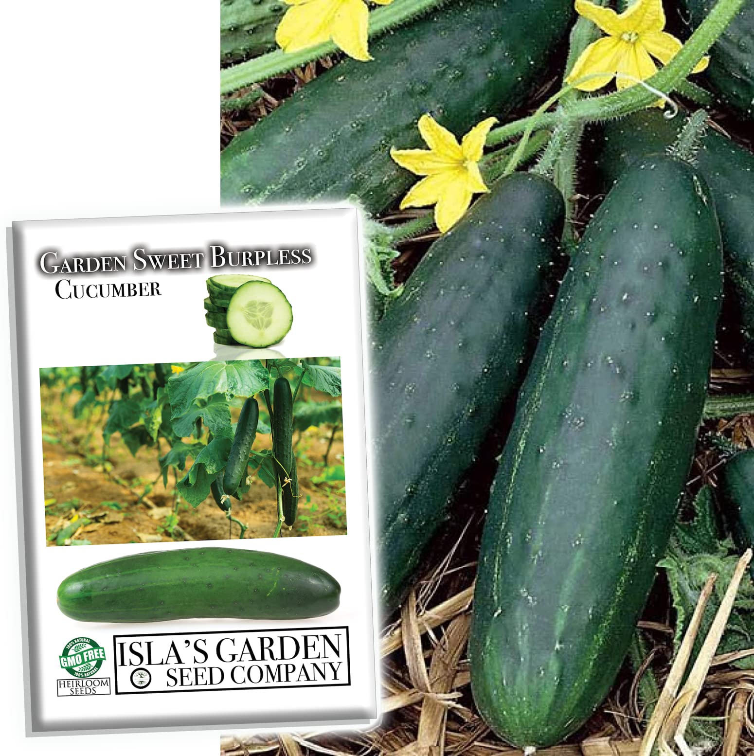 Garden Sweet Burpless Cucumber Seeds for Planting, 50+ Heirloom Seeds Per Packet, (Isla's Garden Seeds), Non GMO Seeds, Botanical Name: Cucumis sativus, Great Home Garden Gift