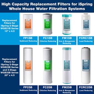 iSpring F2US21B Direct Connect US21B Replacement Filter 4.5"x10" Undersink Water Filtration CTO Carbon Block and GAC+KDF Water Filter Replacement Cartridge Pack Set