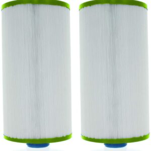 Guardian Filtration Products Spa Filter Cartridge 5H9-200-02 Two-Pack Replacement for Pleatco: PFF50P4 Unicel: 5CH-45 Filbur: FC-2401 Freeflo, Freeflow, AquaTerra Spas